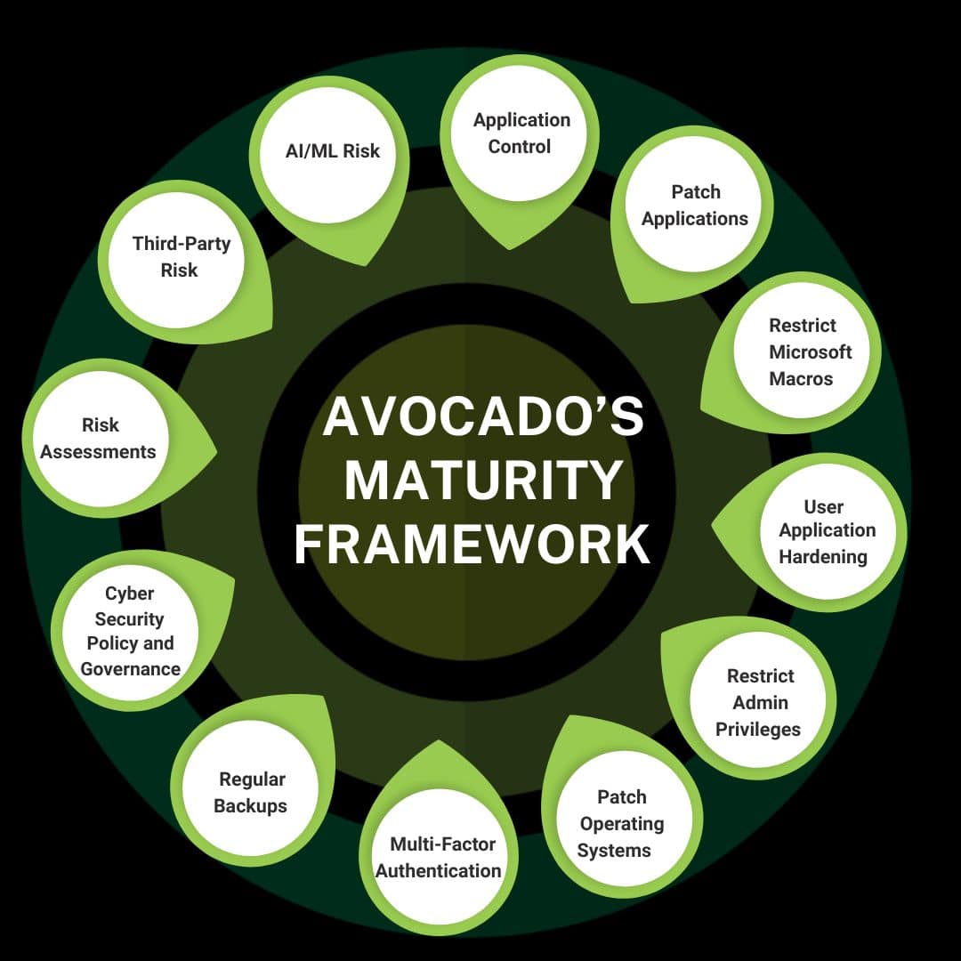 Avocado’s Cyber Maturity Assessment Model - Avocado Consulting ...