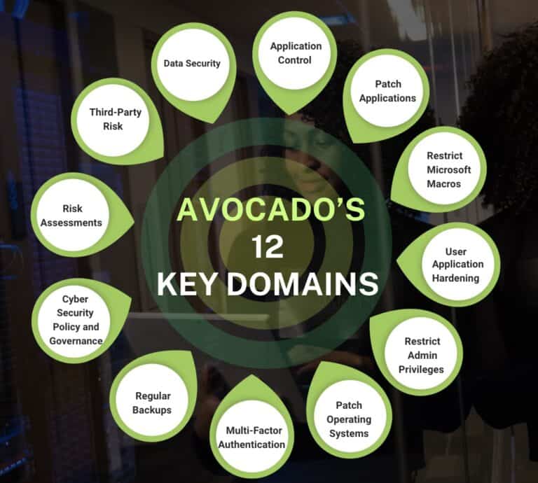 Avocado’s Cyber Maturity Assessment Model - Avocado Consulting ...