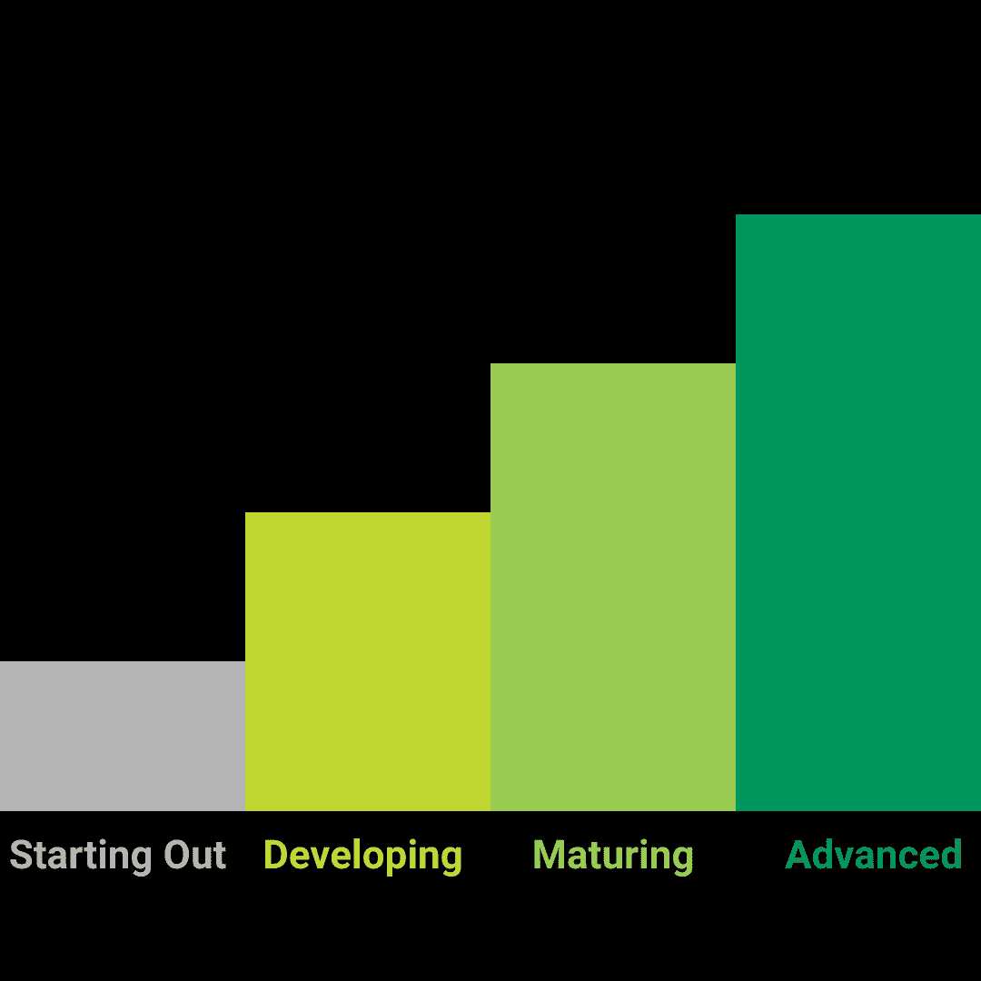 Cyber Maturity Self-Assessment - Avocado Consulting - deliver with ...